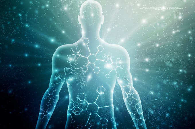 Mesomorph Body Type Characteristics & Diet Explained