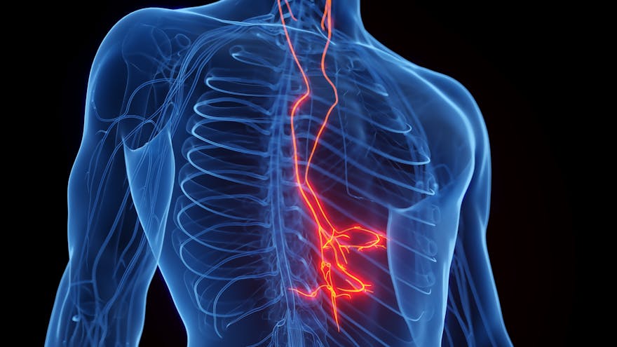 Diabetic Stomach Symptoms: How to Manage Digestive Issues | Dr. Berg