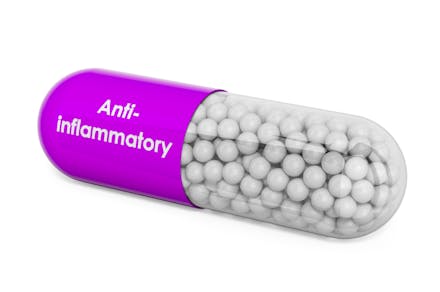 What Are the Best Probiotics for Diabetes? (Type 1 and Type 2)