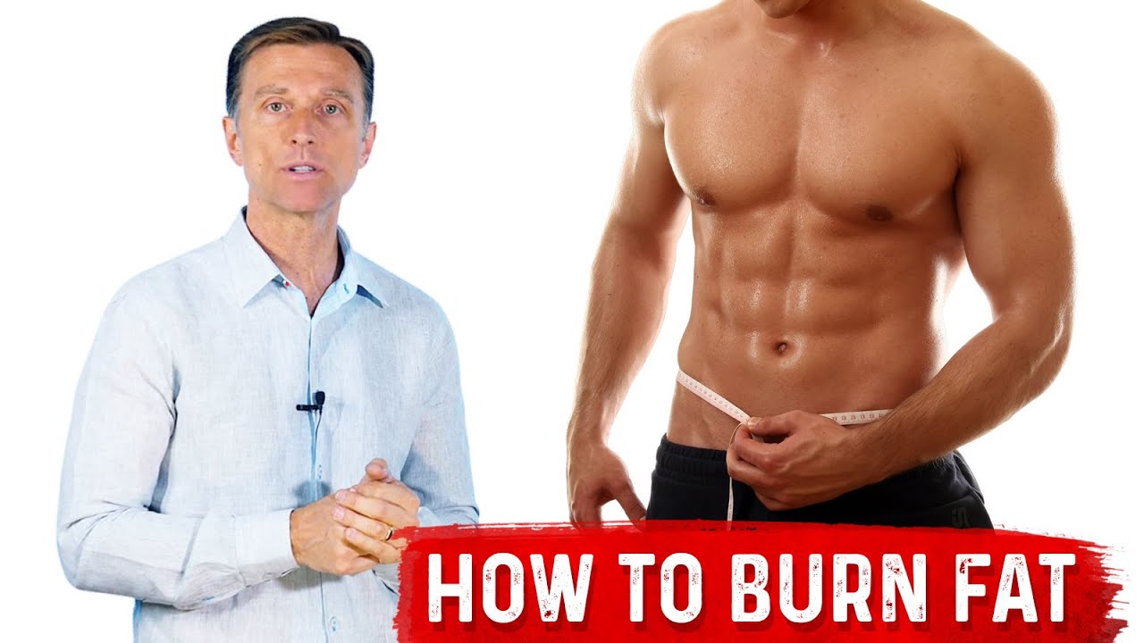 How To Burn Fat For Weight loss, A Step-by-Step Guide | Dr. Berg