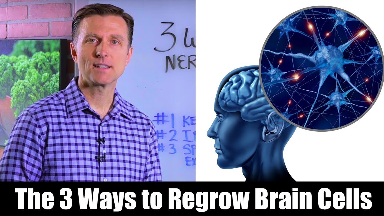 Renew and Protect Your Brain Cells | Ways to Rejuvenate Nerve and Brain ...