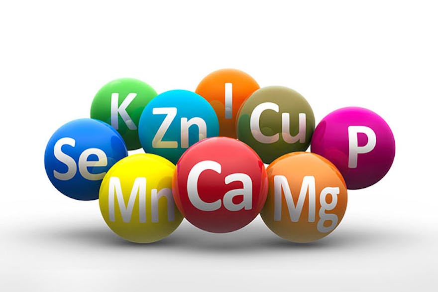 Recognizing Deficiency: Signs of Trace Minerals Lacking