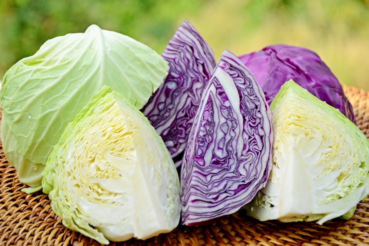 16 Delicious Keto Cabbage Recipes You Must Try | Dr. Berg