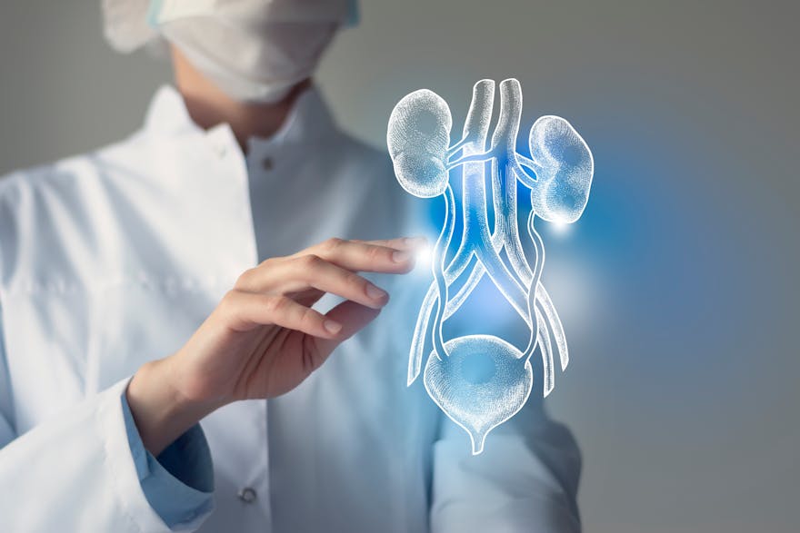 What Is Urinary Retention?—Signs, Causes, & How to Combat It