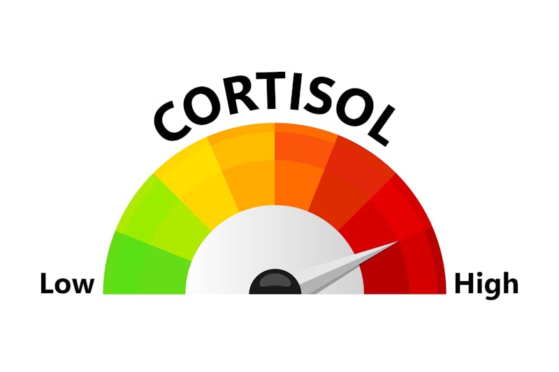 How to Lower Cortisol Naturally and Relieve Stress | Dr. Berg