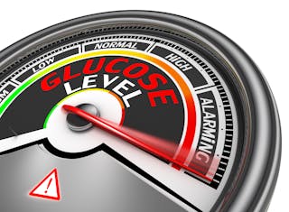What Is the Glucose Ketone Index (GKI)? | Dr. Berg
