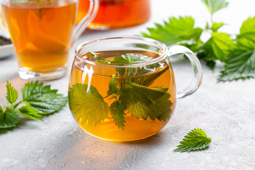 Does Herbal Tea Break a Fast? | Dr. Berg