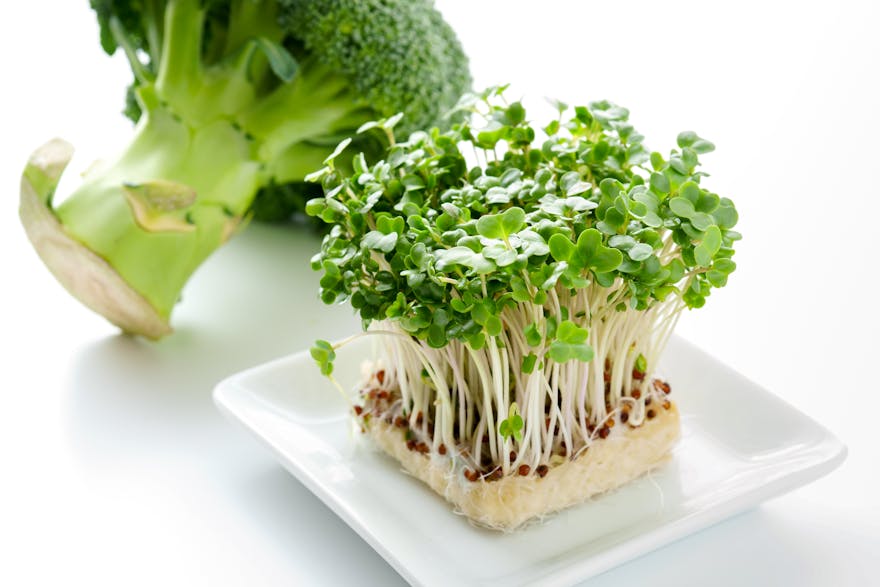 5 Benefits of Broccoli Sprouts & Their Nutritional Value