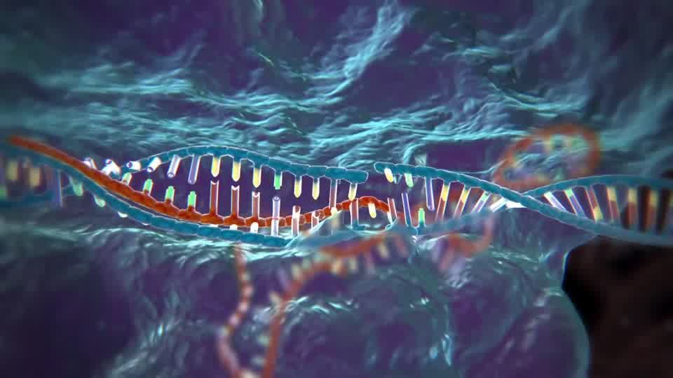 The Benefits of Colostrum | Dr. Berg