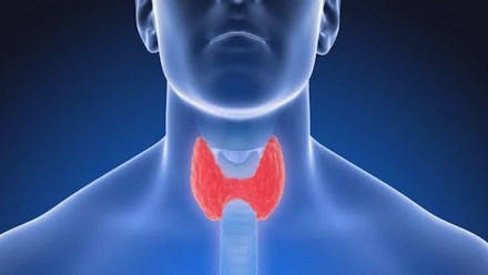 Hyperthyroid Warning| Dr. Berg