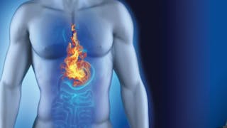 What is Bile Reflux | Healthy Keto™ Dr. Berg