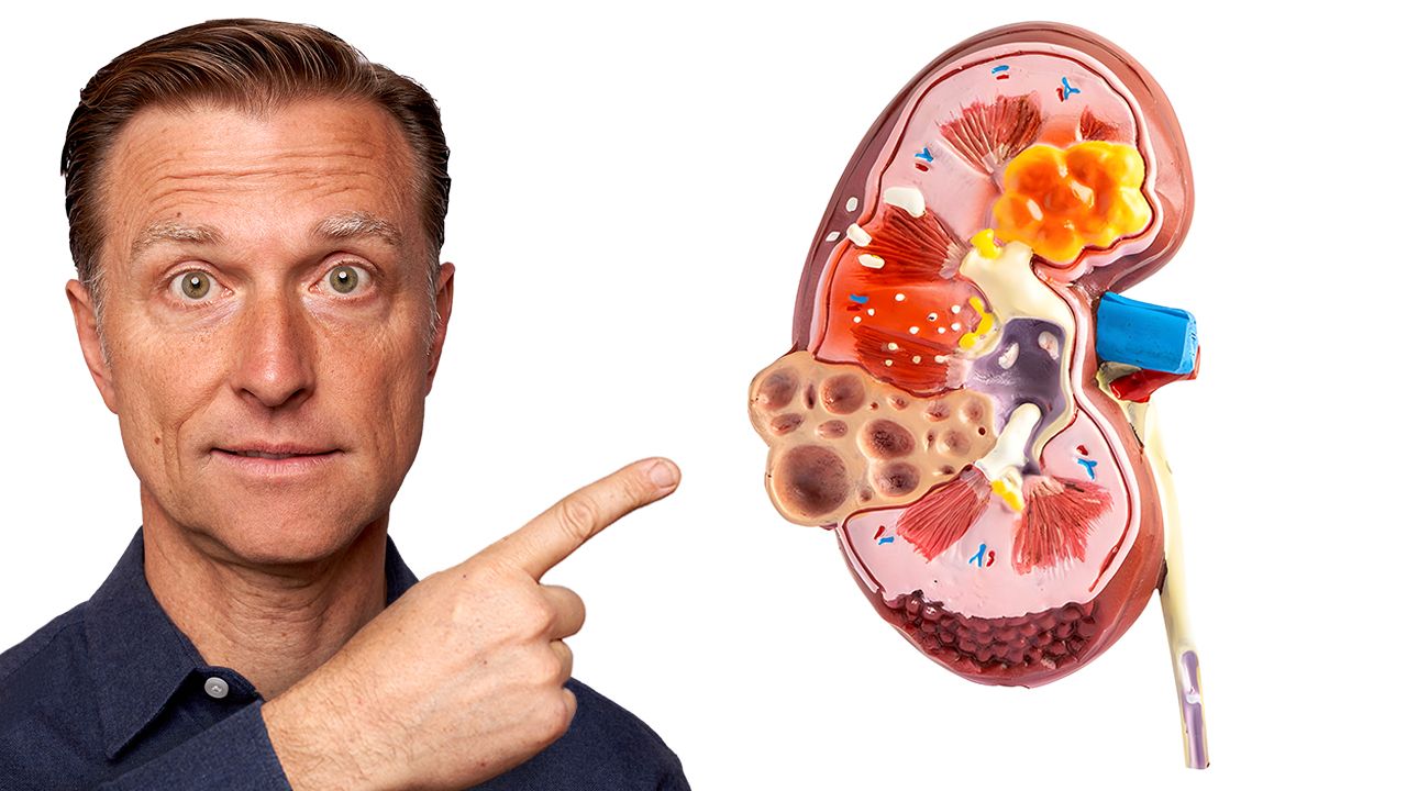 Discover the Best Foods to Improve Kidney Function